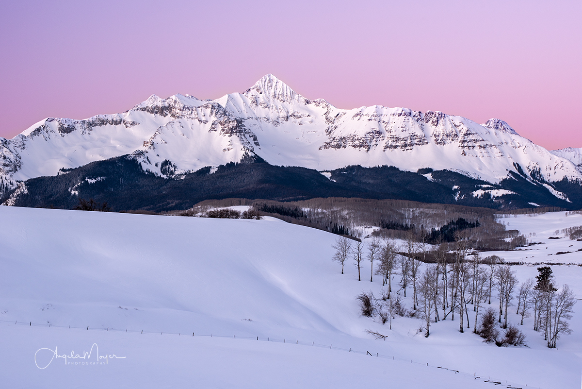 Bald Skies | Angela Moyer Photography