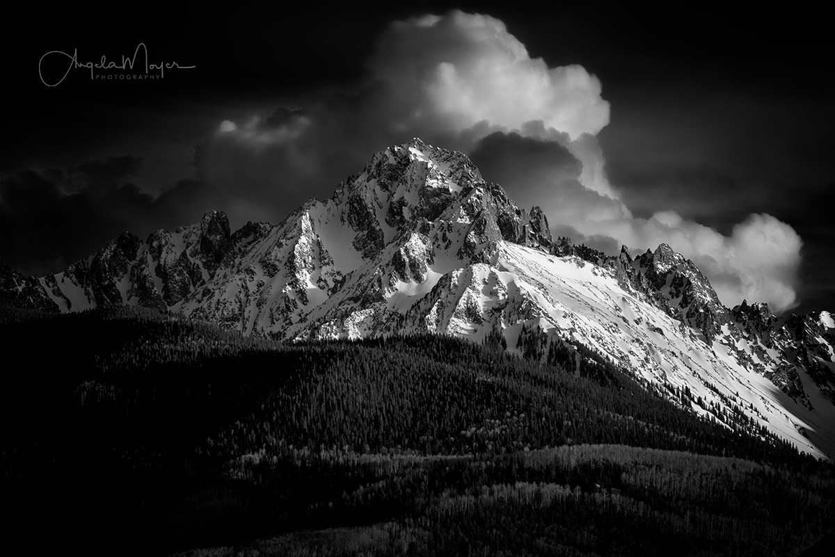 Angela Moyer Photography
